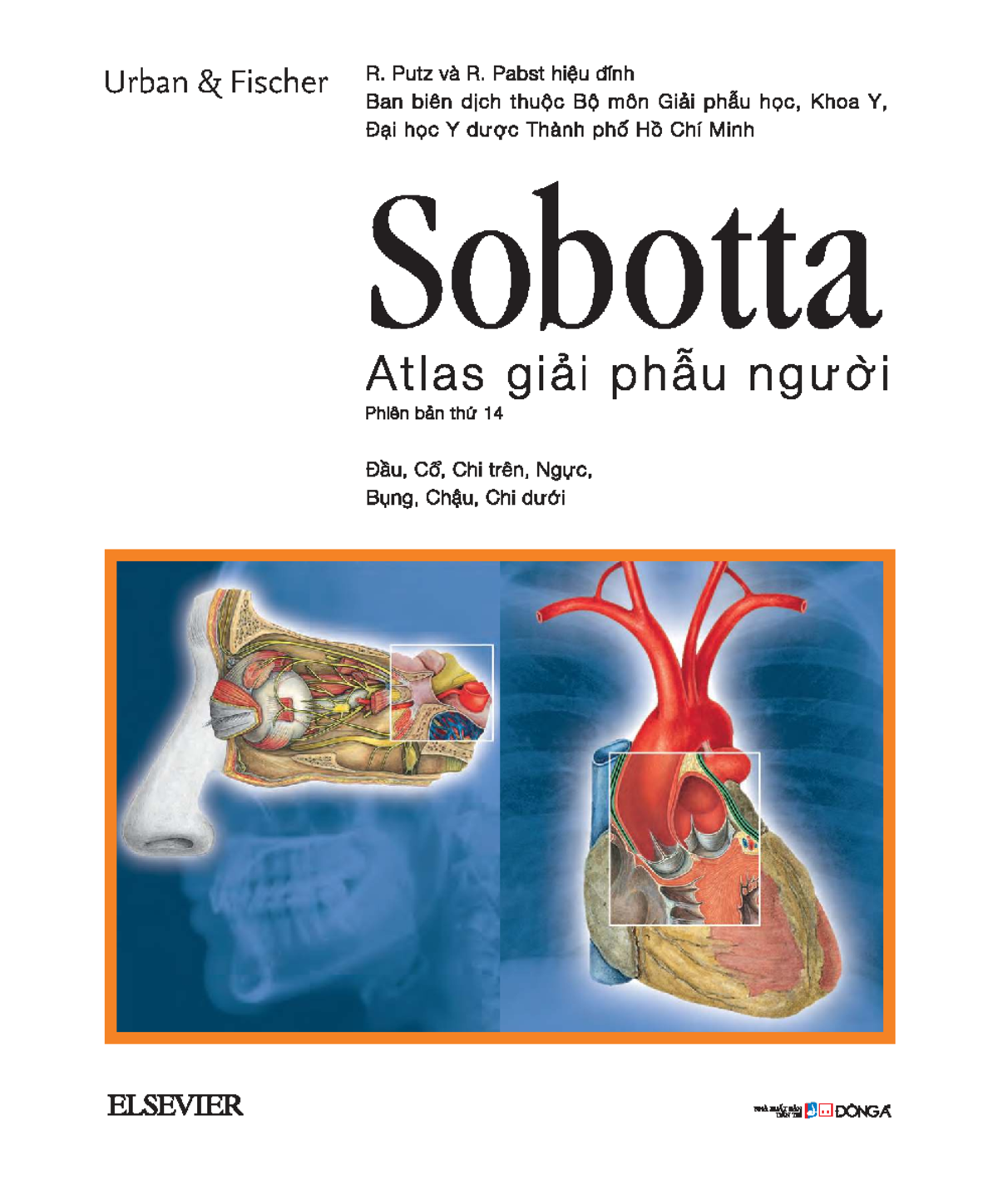 Sobotta Atlas of Human Anatomy - 14th Edition Overview and Insights ...
