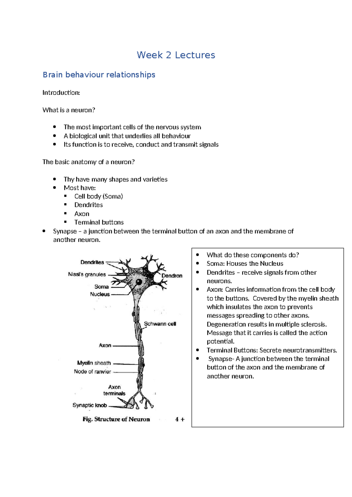 Week 2 Lecture 2 Notes - Neuron Functions and Nervous System Overview ...