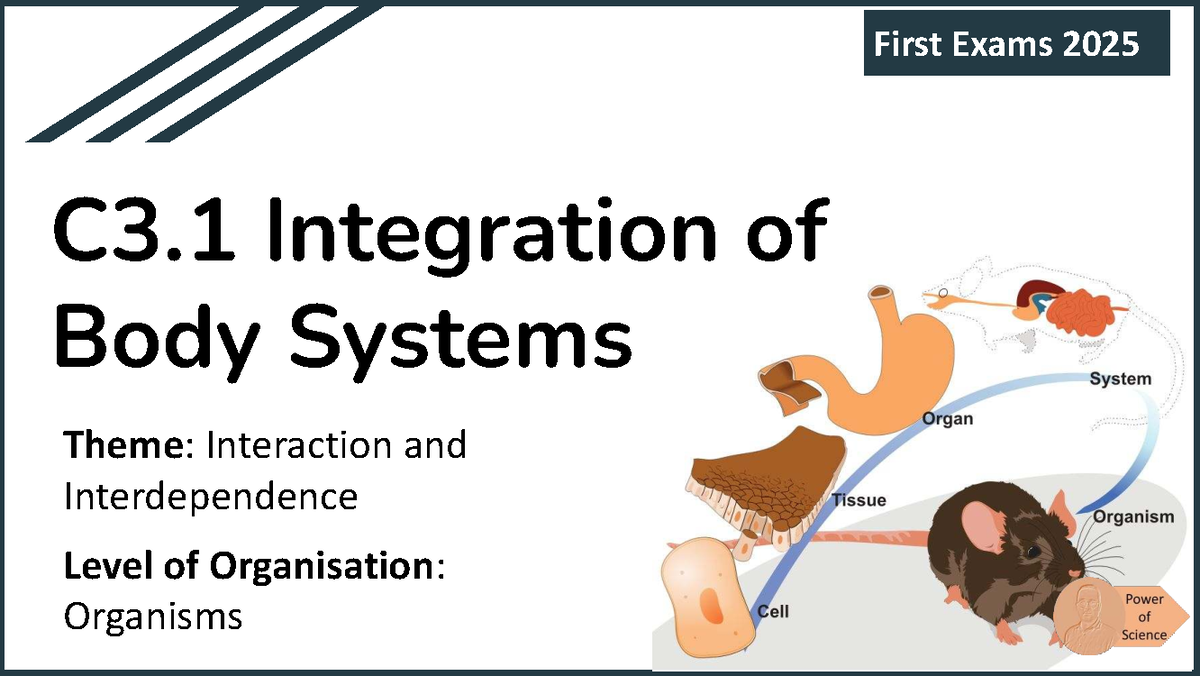 C3.1 Body Systems Integration - IB SL & HL Exam Review Guide - Studocu