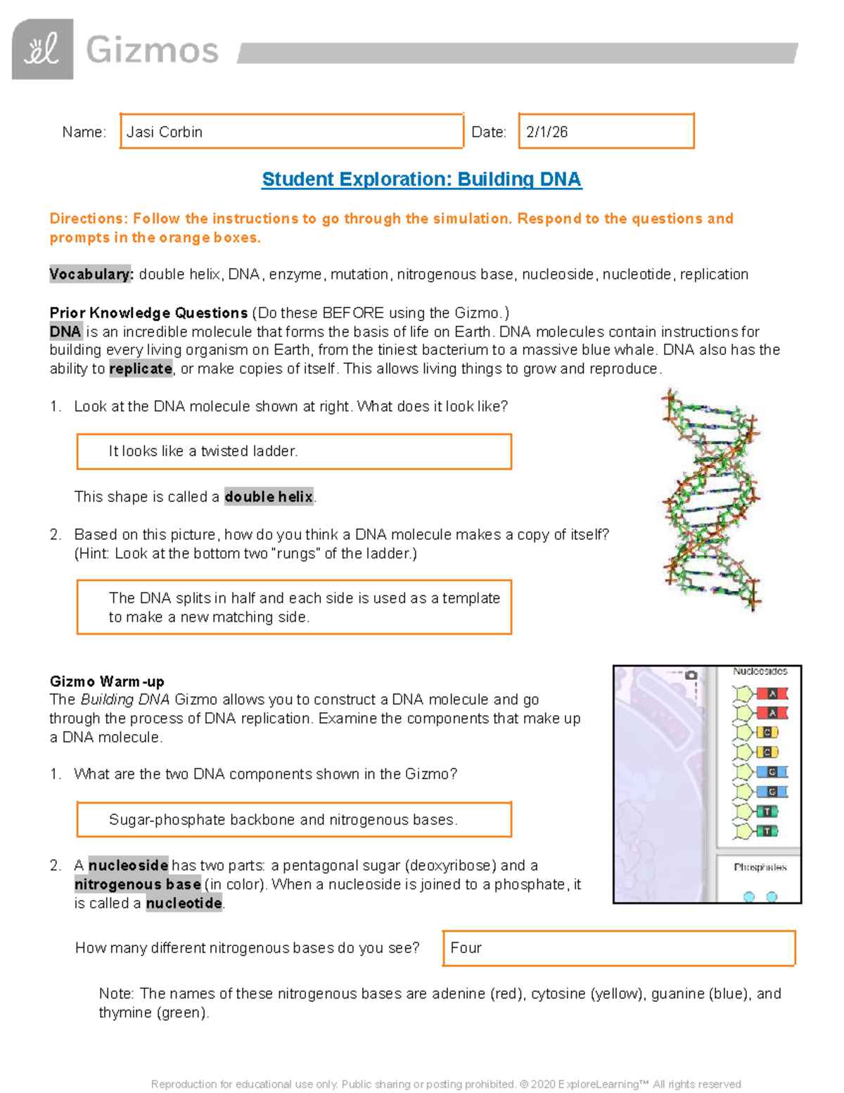 Building DNA Simulation Guide - Gizmo Exploration - Studocu