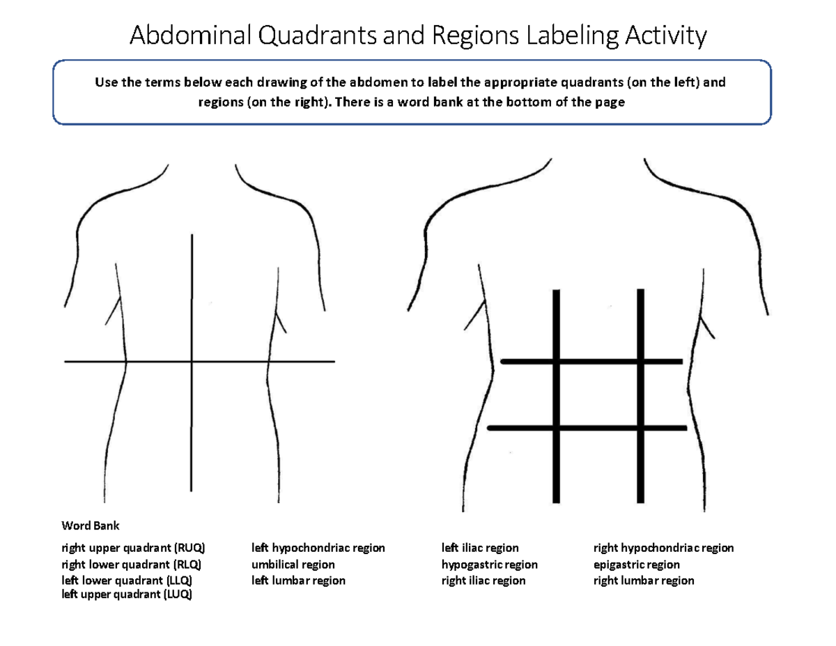 Abdominal Regions Diagram