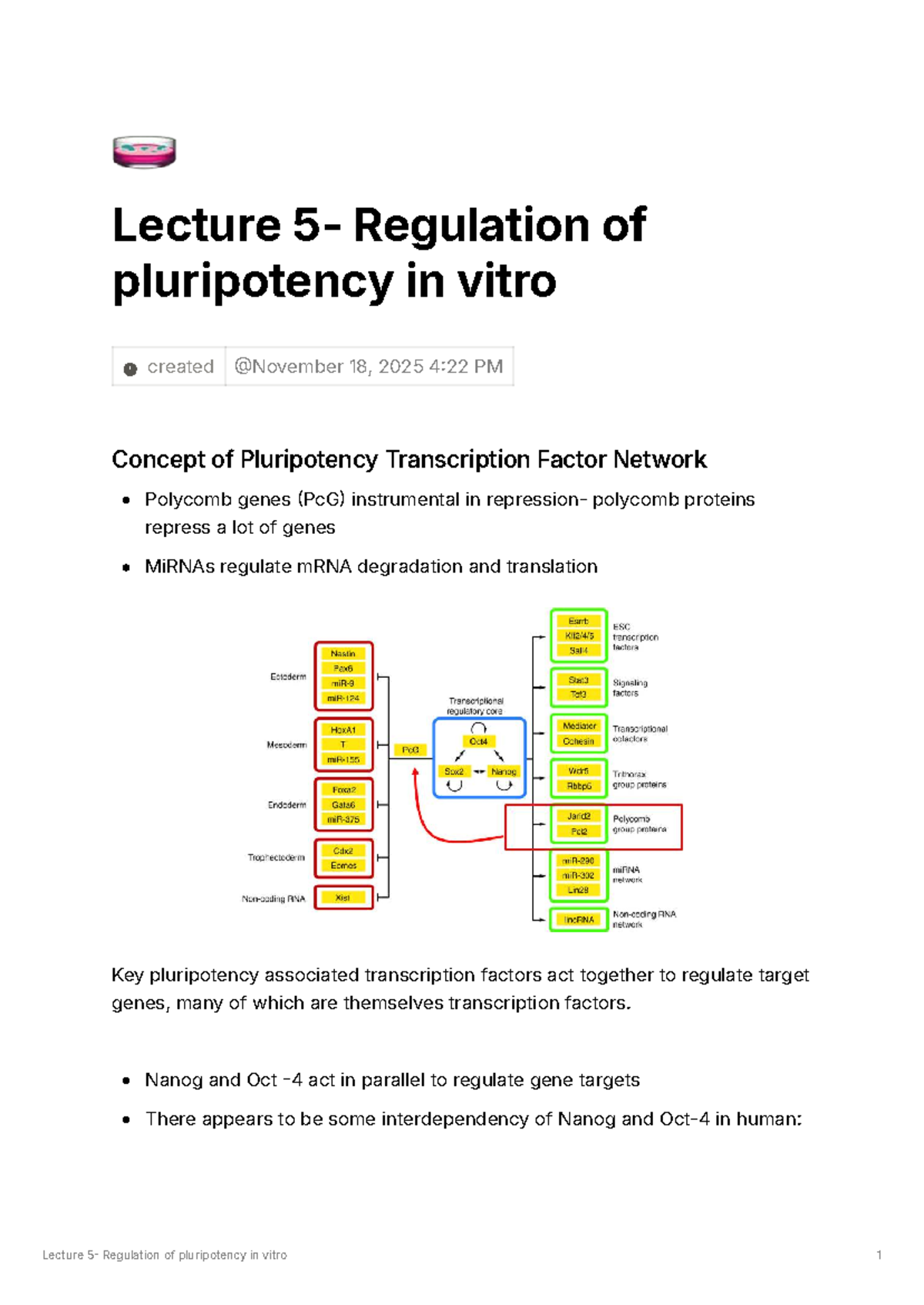 Lecture 5: Regulation of Pluripotency In Vitro Insights and Mechanisms ...