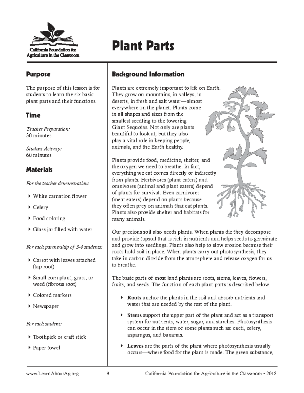 Plant Parts and Their Functions: A Lesson for Grade 4 (BDSG) - Studocu