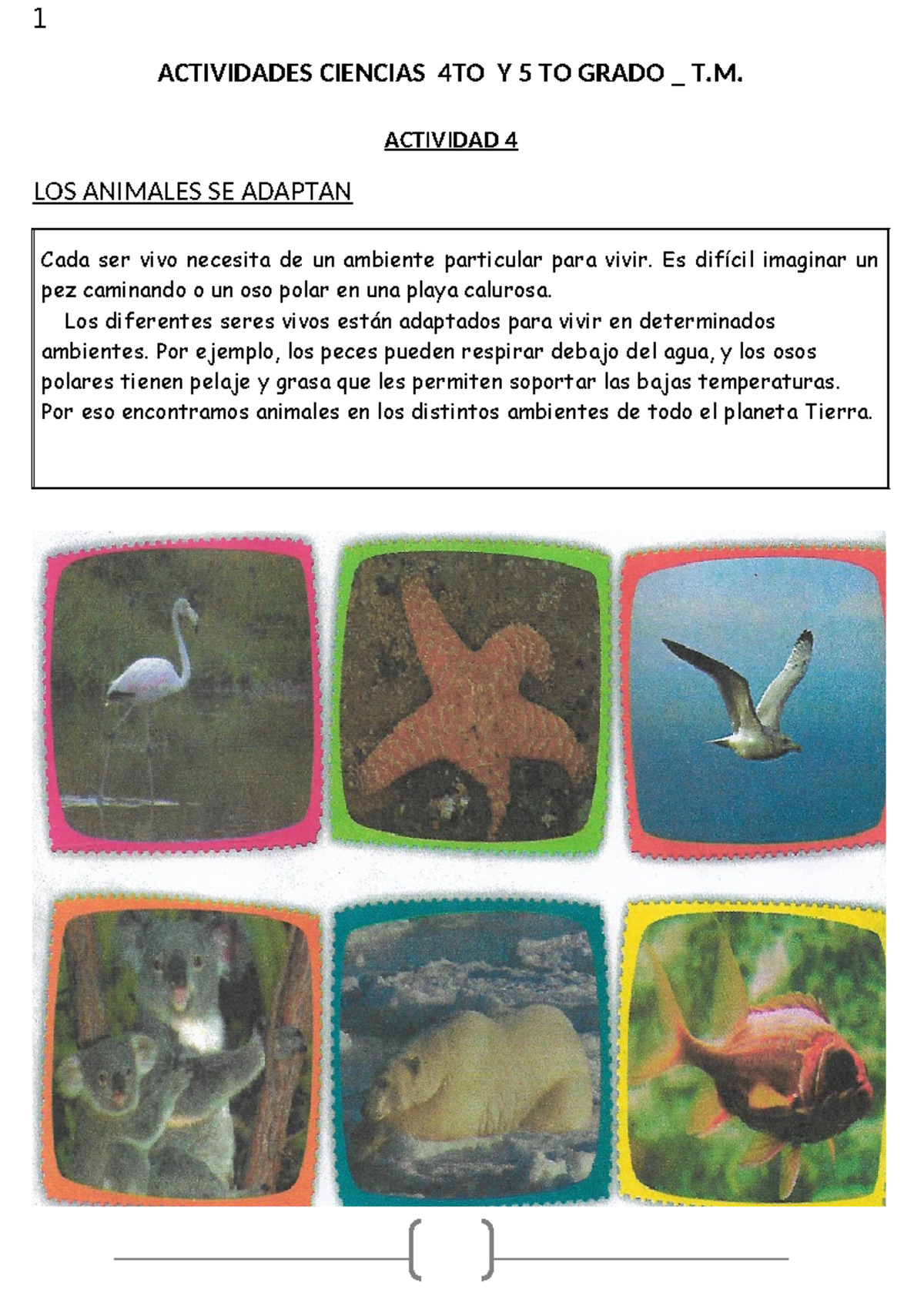 Adaptaciones de los Seres Vivos - Ciencias 4to y 5to Grado - Studocu
