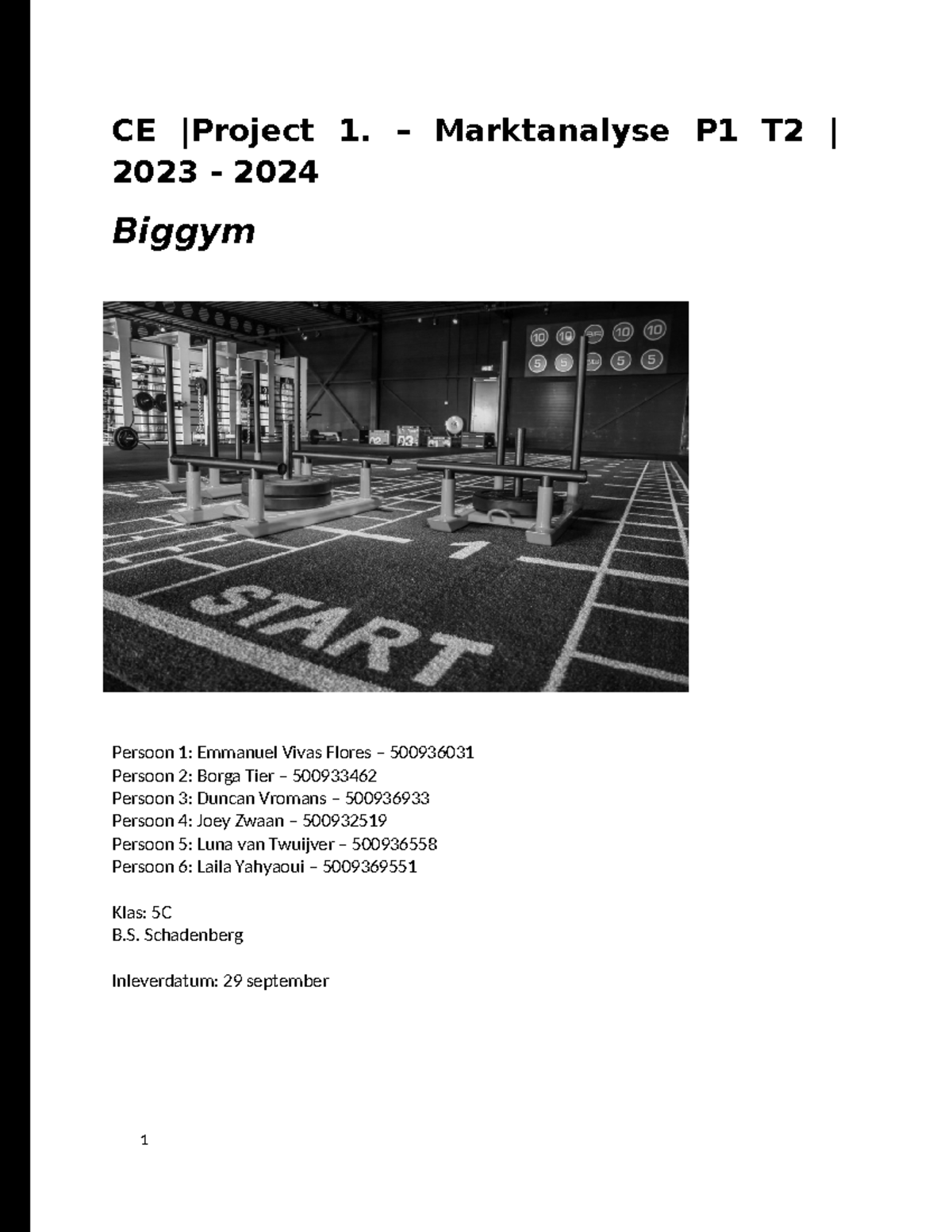CE | Project 1 - Marktanalyse van Biggym 2023-2024 - Studeersnel