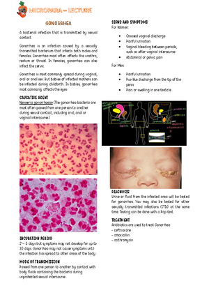 Parasitology LEC-2 - Lecture notes on clinical microscopy ...