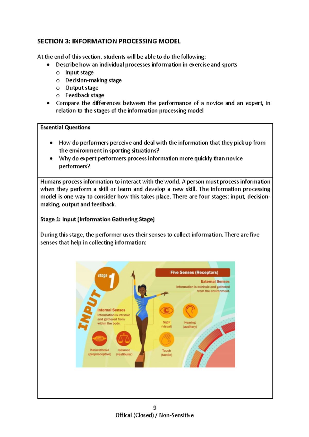 3 - Information Processing Model: Novice vs Expert Performers - Studocu