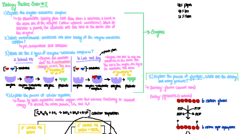 Bio 40: Enzyme-Substrate Complex & Cellular Respiration Review Guide - Studocu