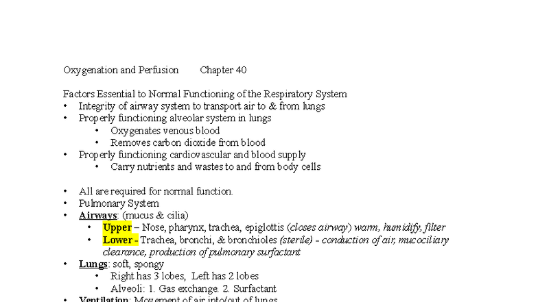 Respiratory System Function & Factors: Chapter 40 Overview - Studocu