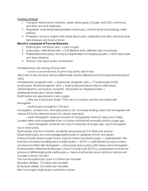 A&P 2 Exam #3: Blood Vessels and Blood Flow Mechanisms - Blood vessels ...