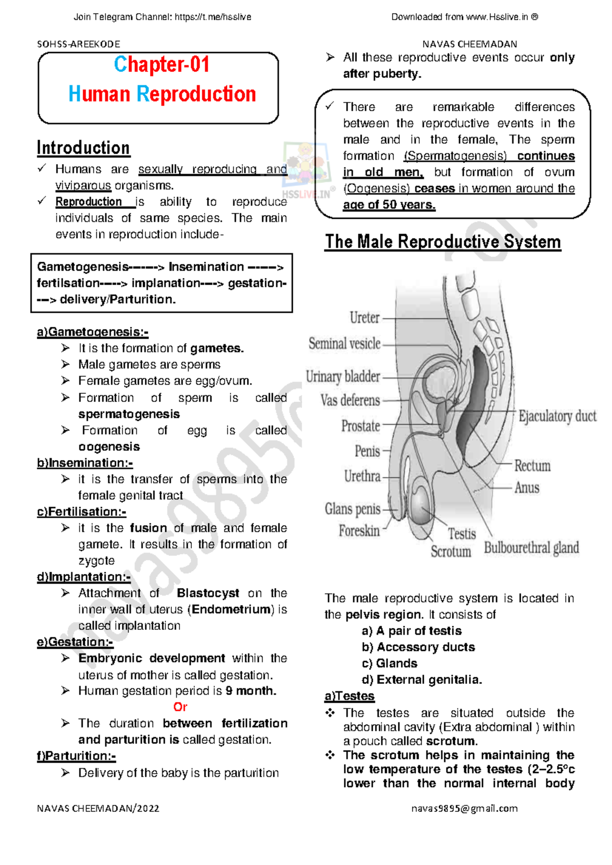 Human Reproduction: SOHSS Chapter Insights on Gametogenesis & More ...