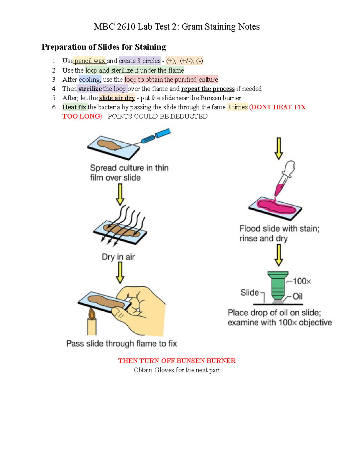 UConn MBC 2610 Lab Test 2 Gram Staining Notes - MBC 2610 Lab Test 2 ...