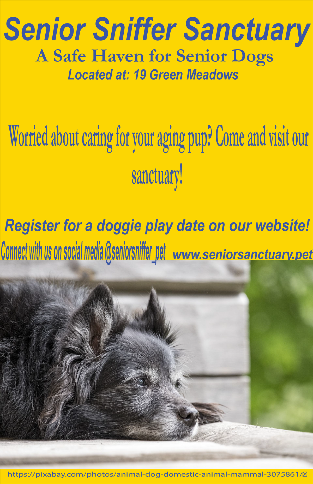 Module Seven Project - GRA-205 - pixabay/photos/animal-dog-domestic ...