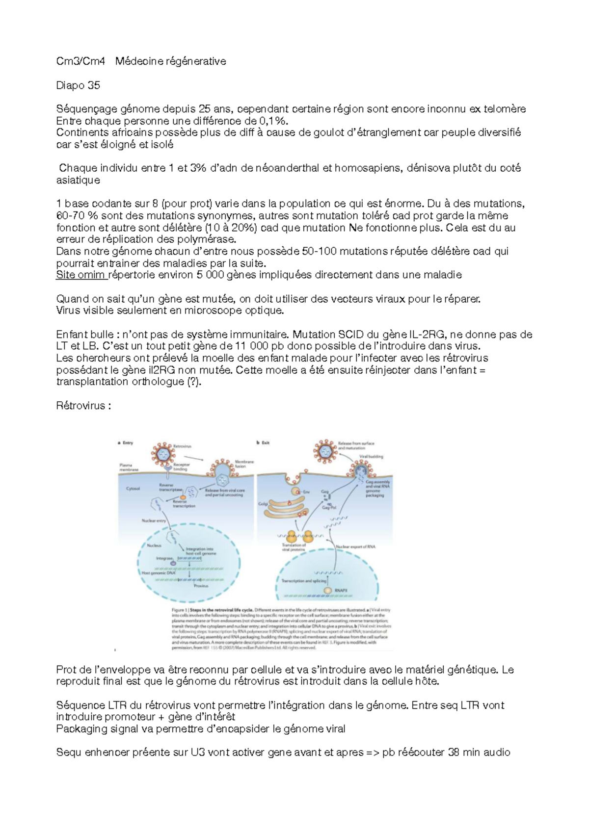 Cm3:4 - CM C.Marcelle deuxième partie - Cm3/Cm4 Médecine régénerative ...