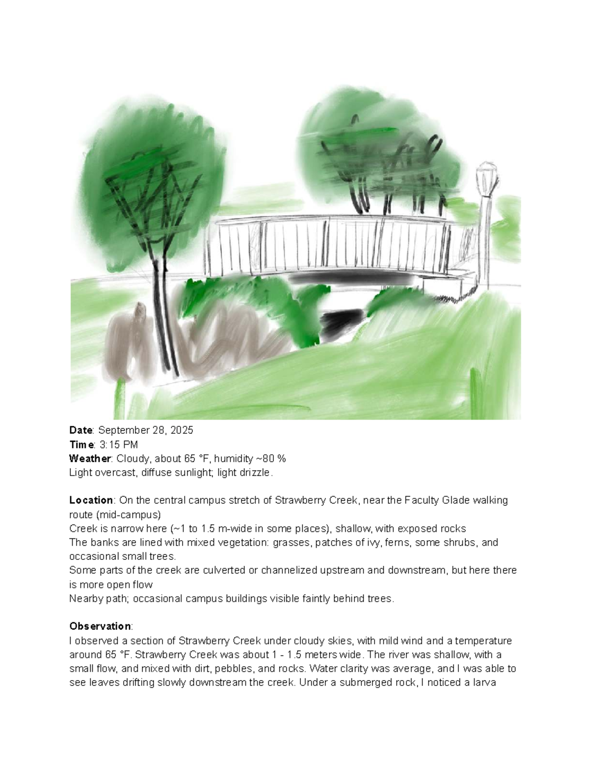 Observation Report: Strawberry Creek Ecosystem - D63709 B3 D319 46C6 ...