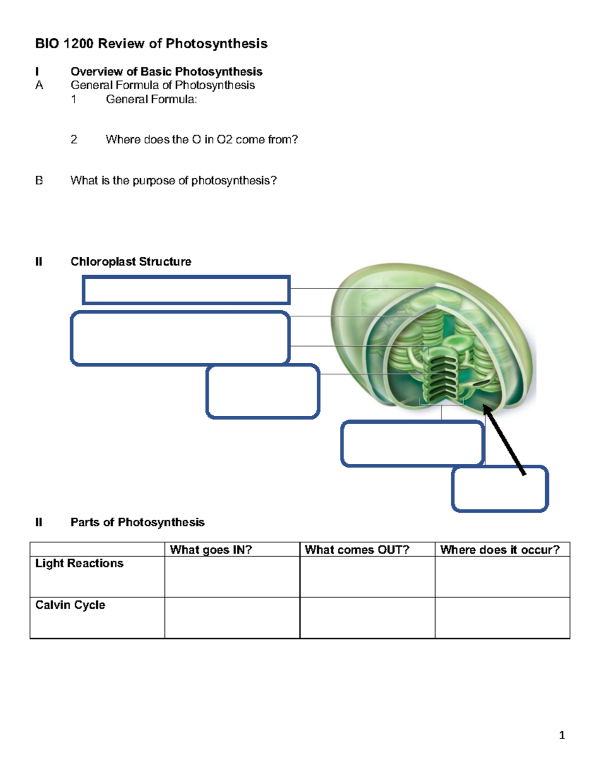 BIO 1200 Final Exam Review: Comprehensive Guide to Photosynthesis - Studocu
