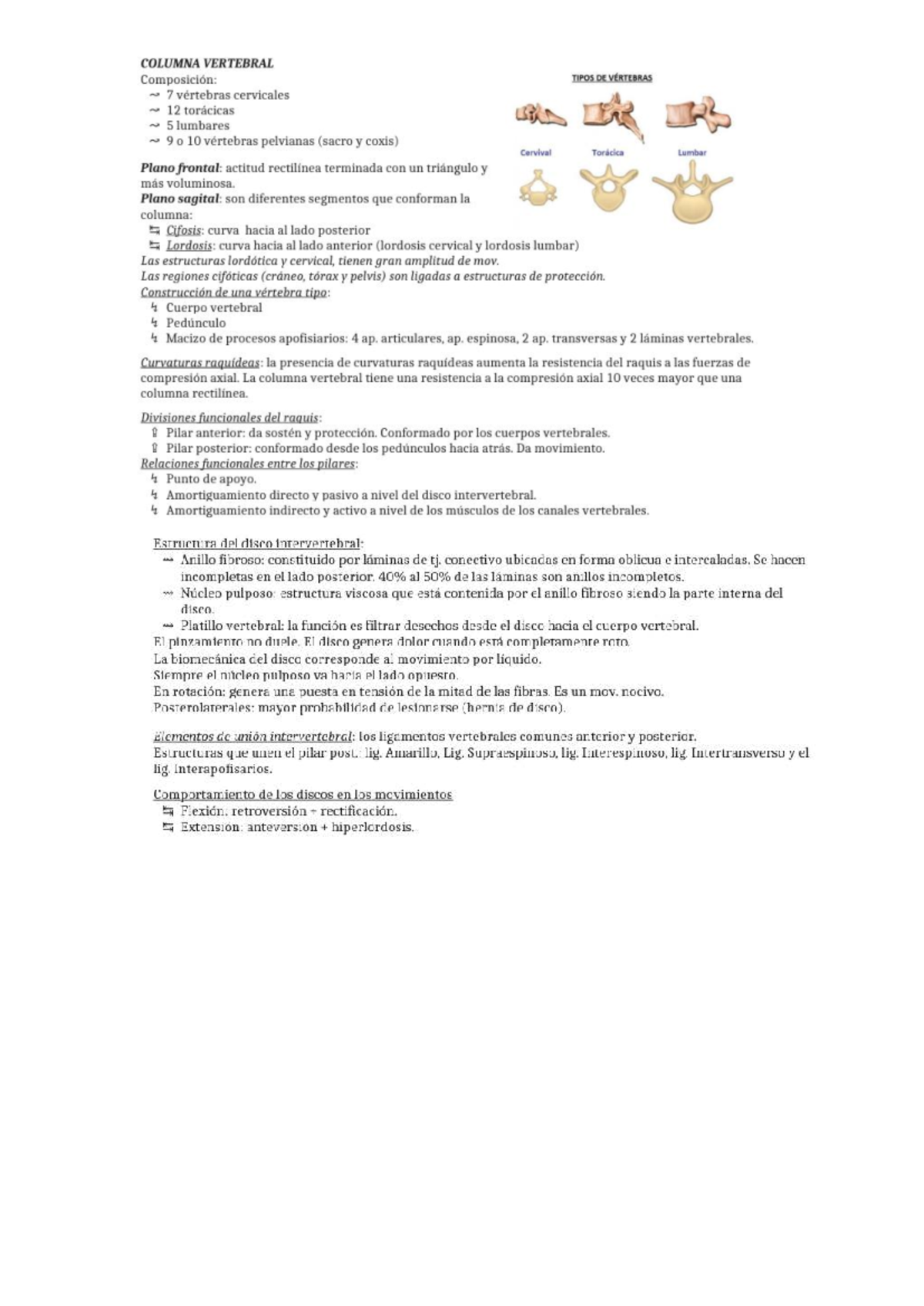 COLUMNA VERTEBRAL: Composición y Tipos de Vértebras - Studocu