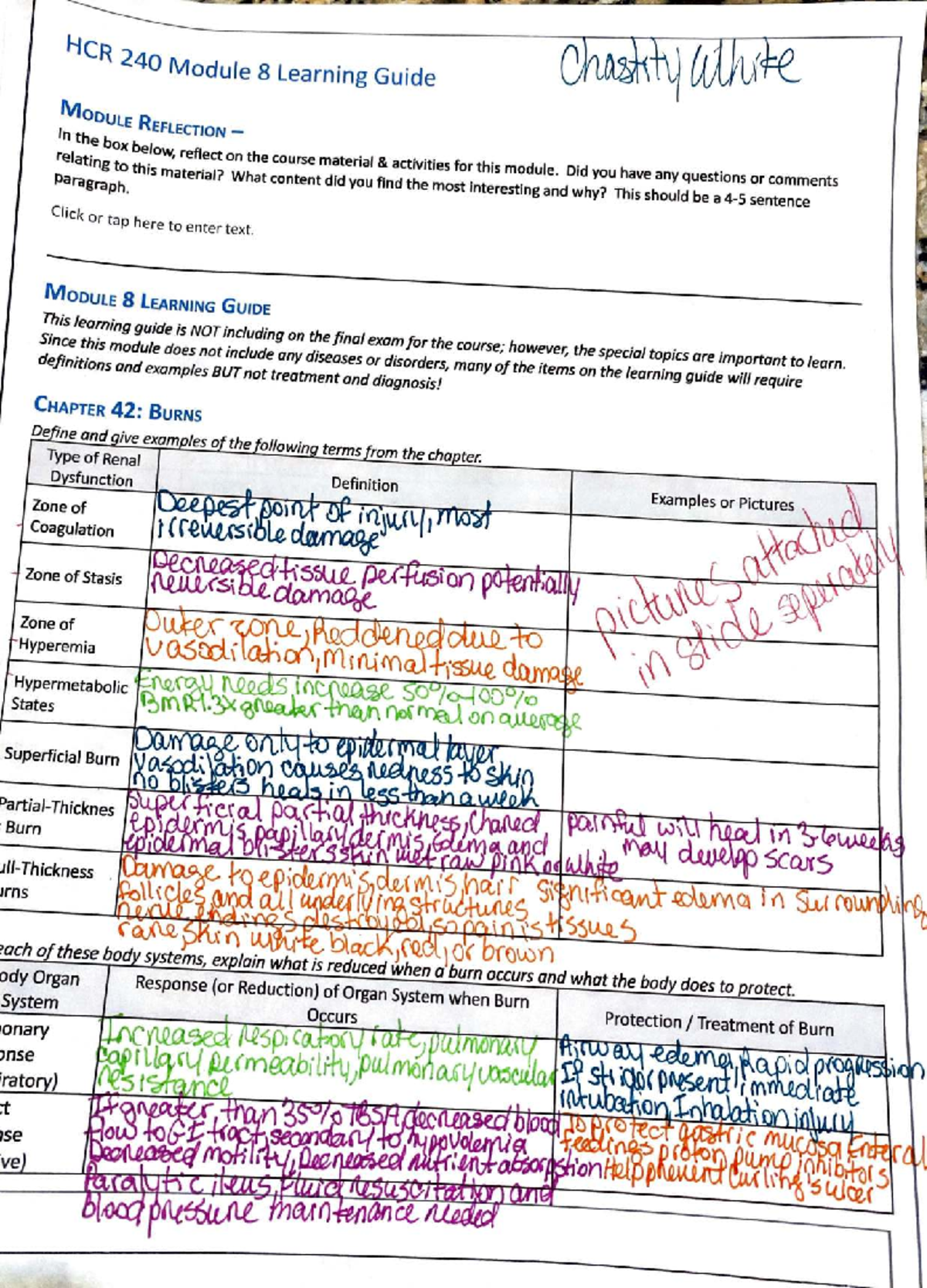 HCR 240 Module 8 Learning Guide: Reflection and Key Concepts - Studocu