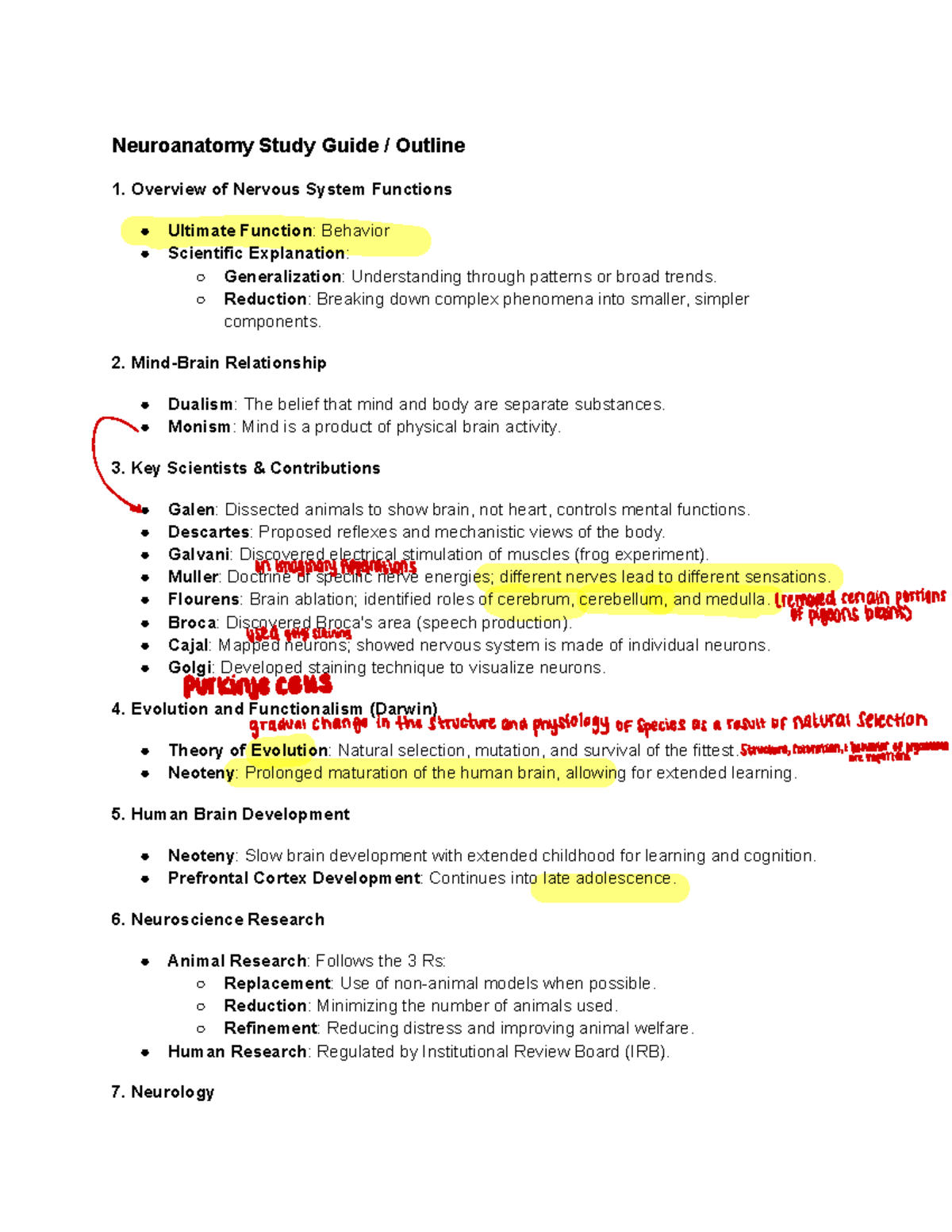 Neuroanatomy Study Guide: Key Concepts and Structural Overview ...