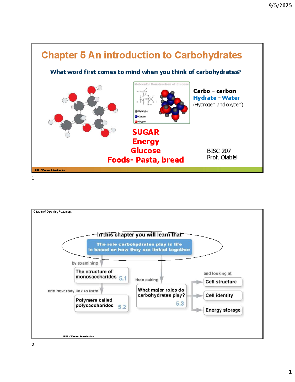 BISC 207 Chapter 5 Lecture Notes: Understanding Carbohydrates - Studocu