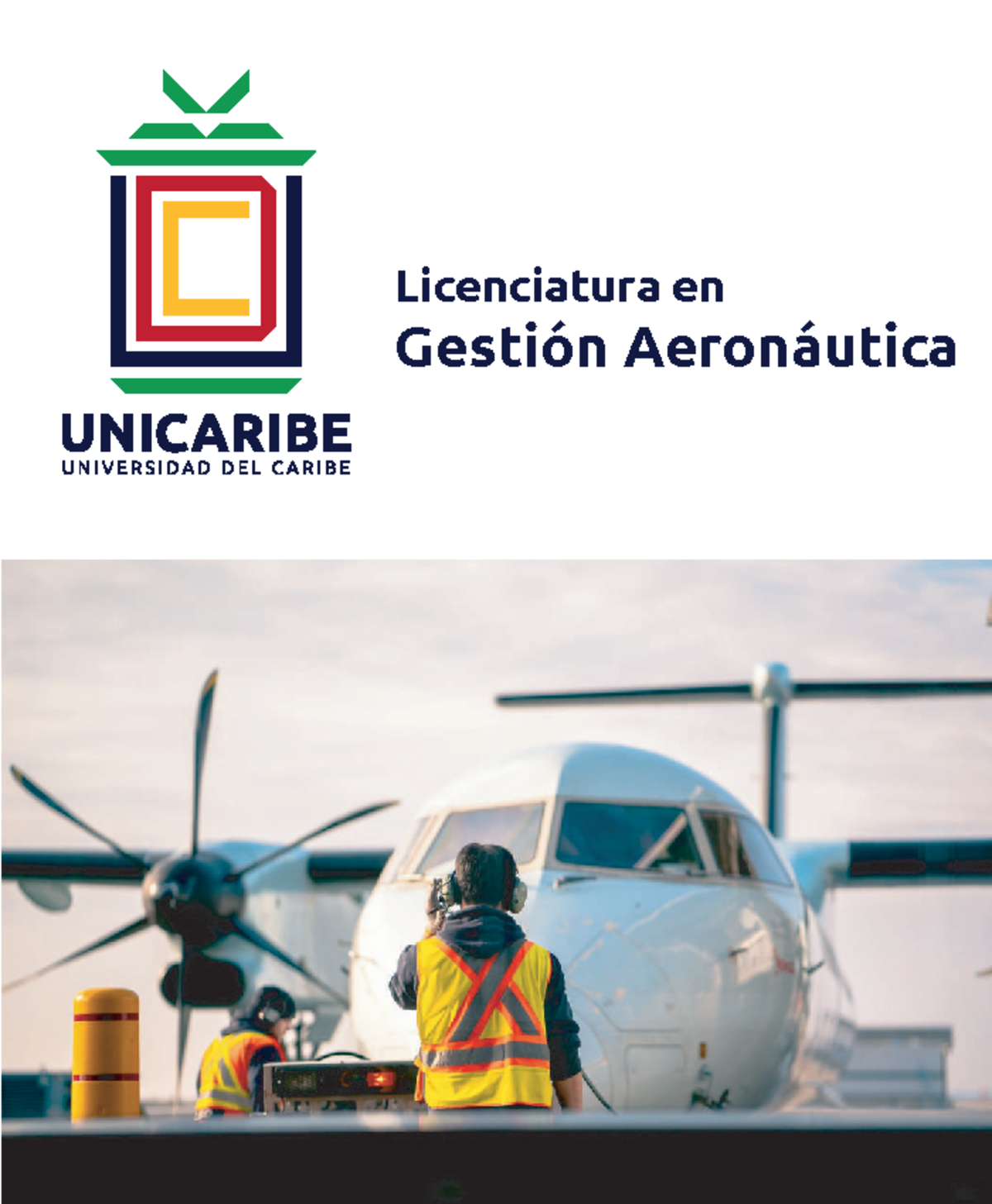 Licenciatura en GestiÛn Aeron·utica: Pensum y Requisitos de Admisión - Studocu