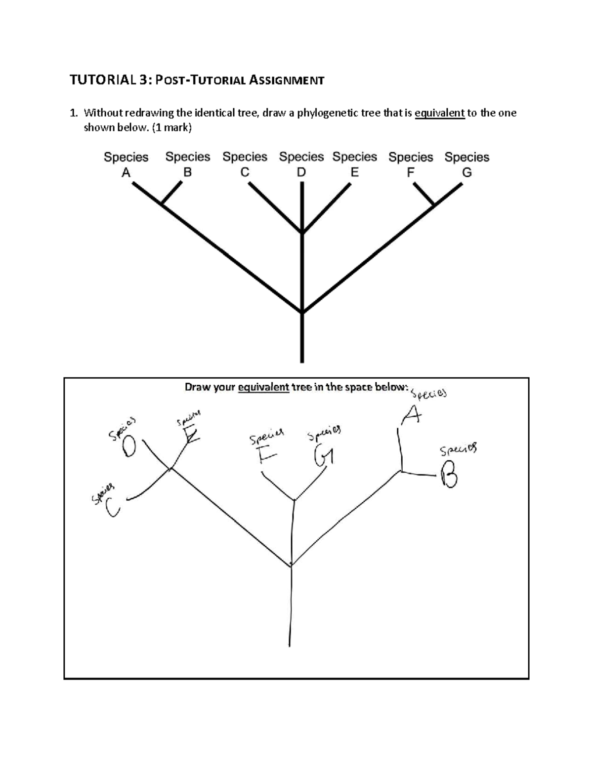 Post Tutorial Assignment 3: Phylogenetic Tree Analysis - Studocu