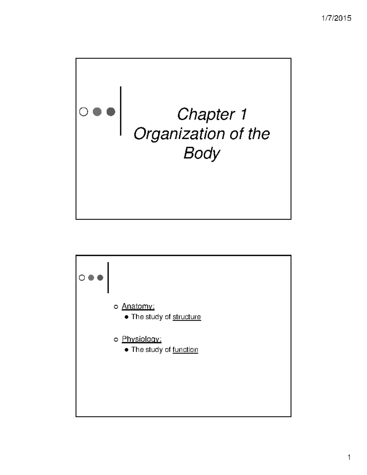 Chapter 1: Understanding Body Organization in Anatomy & Physiology ...