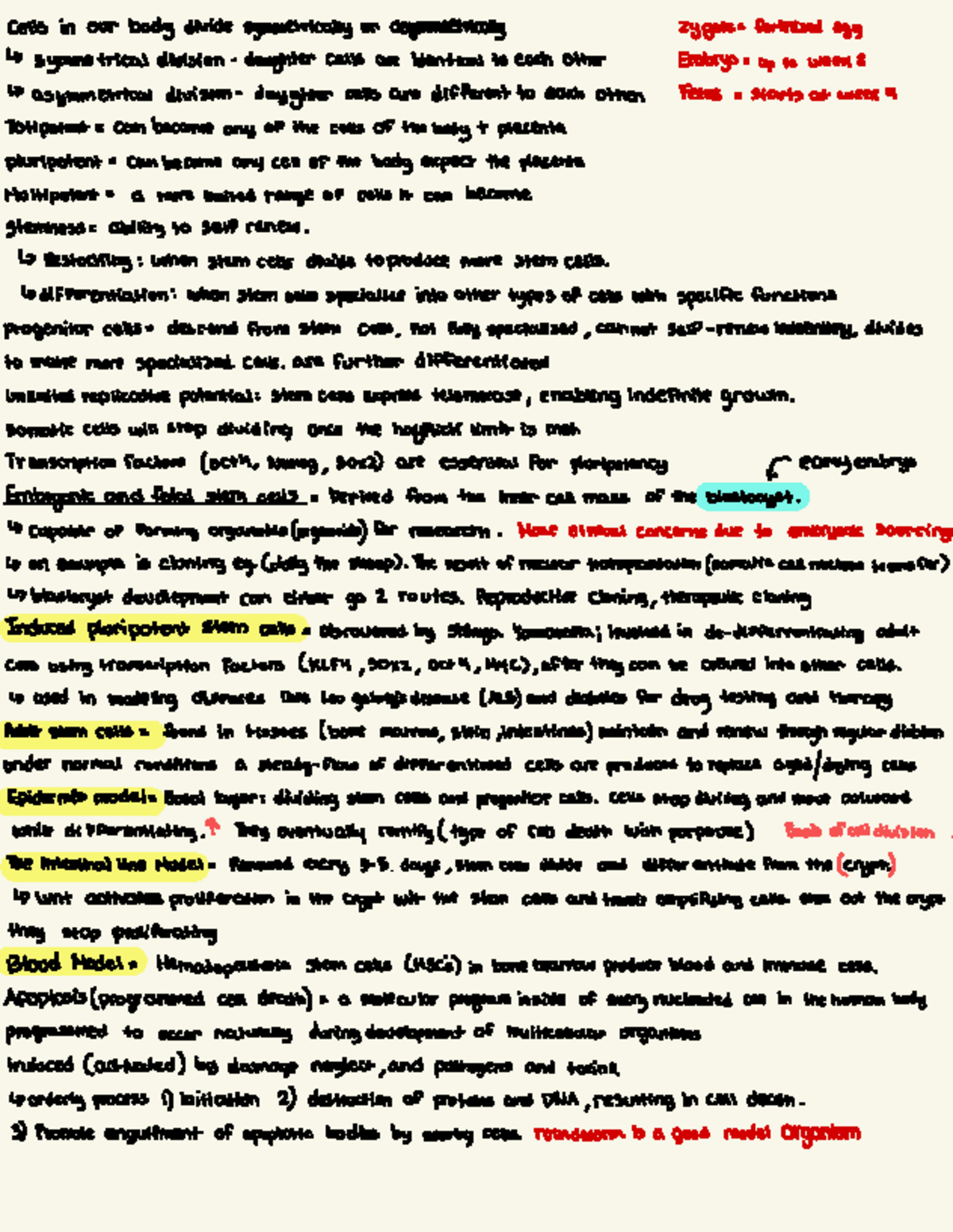 Unit 5 - Stem Cell Division and Apoptosis Notes - Studocu