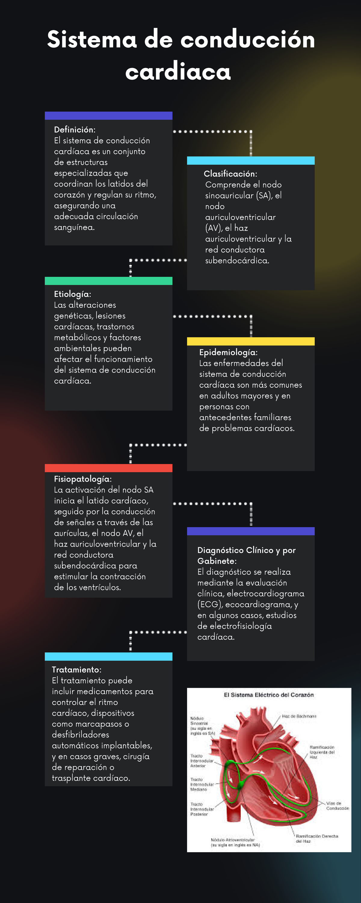 Infografia de sistema de conducción - Sistema de conducción cardiaca ...