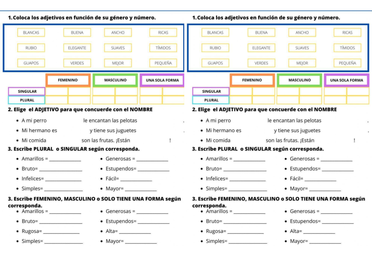 Adjetivos: Género y Número - Ejercicios y Concordancia - Studocu