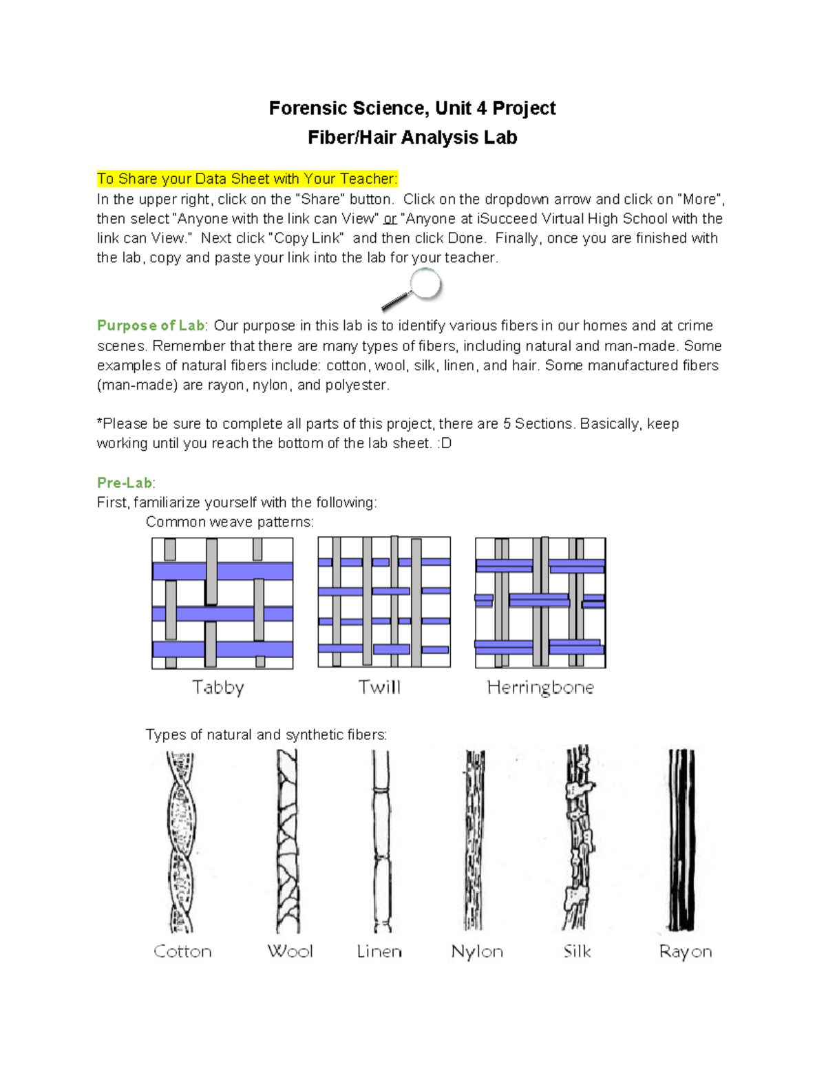Unit 4 Project: Fiber and Hair Analysis Lab in Forensic Science - Studocu