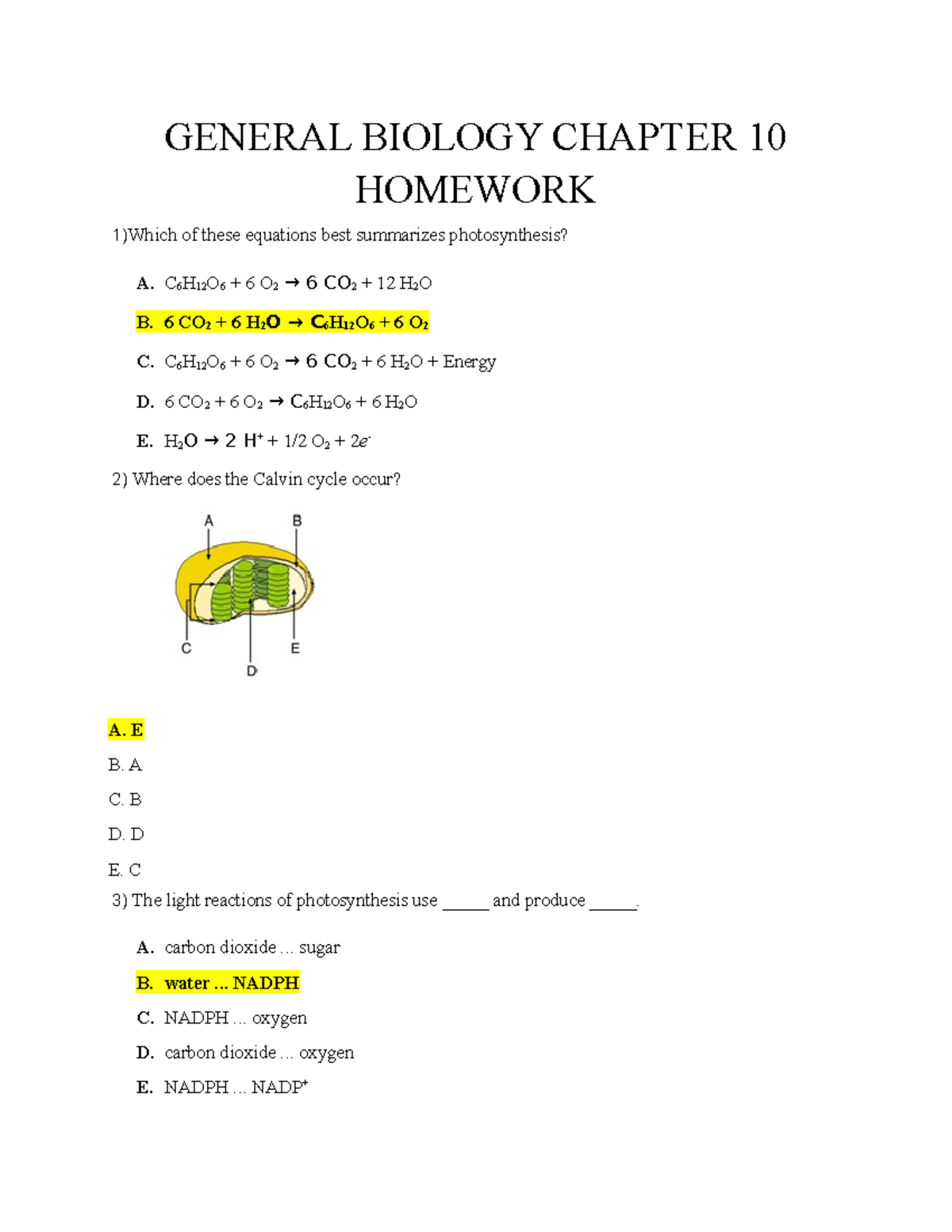 General Biology BIOL101 Chapter 10 Homework Questions and Answers - Studocu