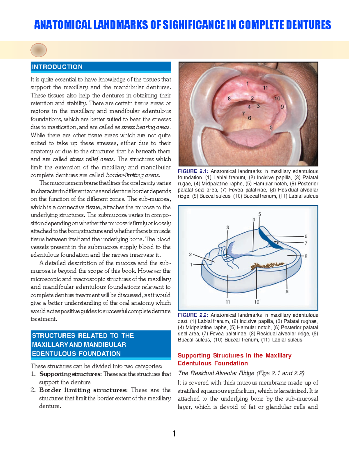 Maxillary and Mandibular Anatomical Landmarks in Complete Denture ...