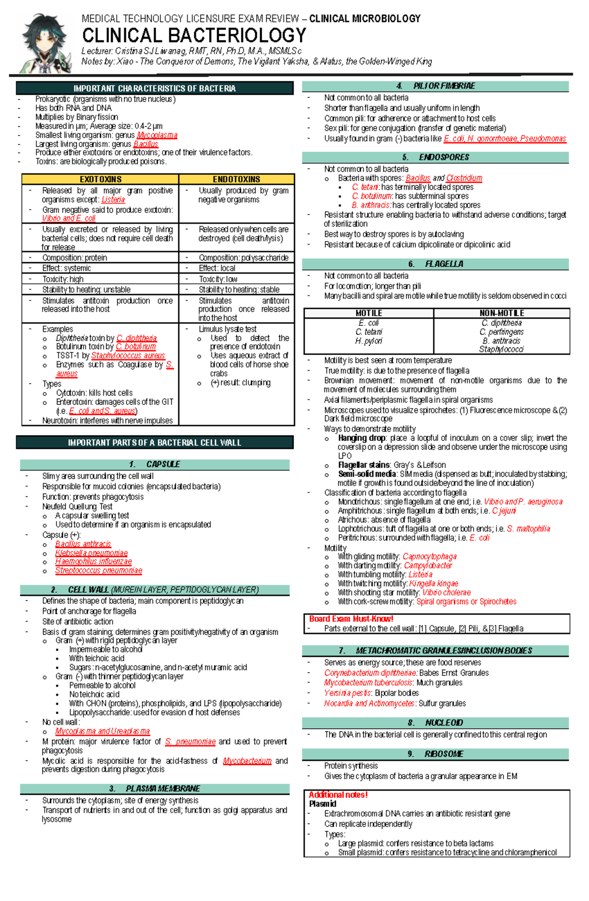 MTLE - Clinical Microbiology Review: Key Concepts in Bacteriology - Studocu
