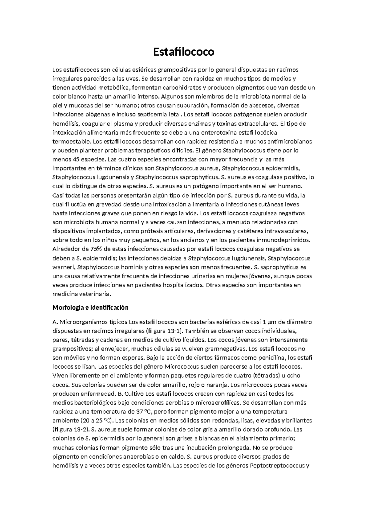 Estafilococos: Características y Patología - Estudio en Microbiología ...