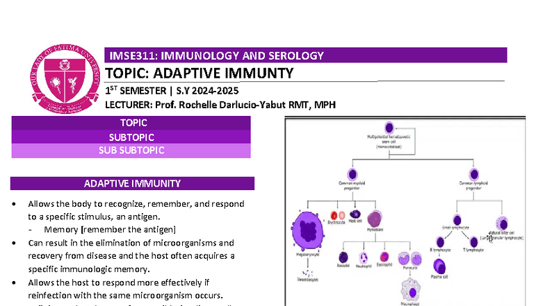 IMSE311: Adaptive Immunity Overview - 1st Semester Lecture Notes - Studocu
