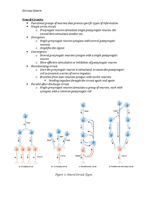 Embryo and Fetal Development Overview: Key Stages and Milestones ...