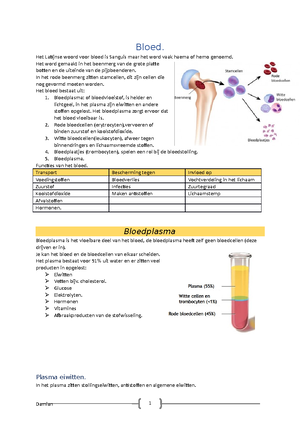 Samenvatting AFP Huid en zintuigen - 1. De opperhuid (epidermis). Deze ...