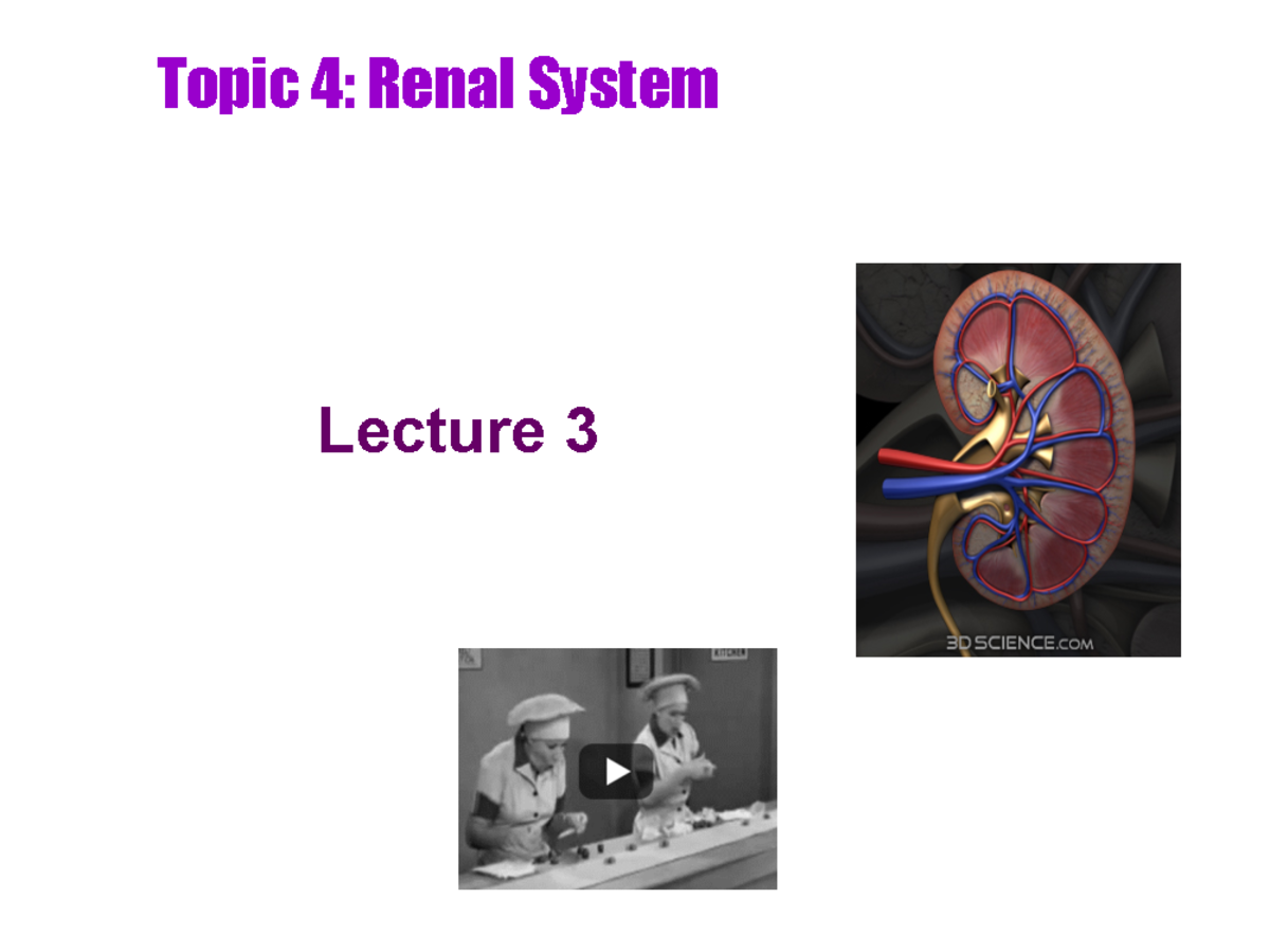 ANP1107 Renal Lecture 3 2023 - Topic 4: Renal System Lecture 3 In the ...
