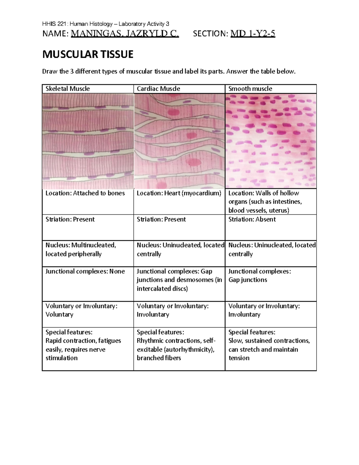 HHIS 221: Human Histology Lab Activity 3 - Muscular Tissue Analysis ...