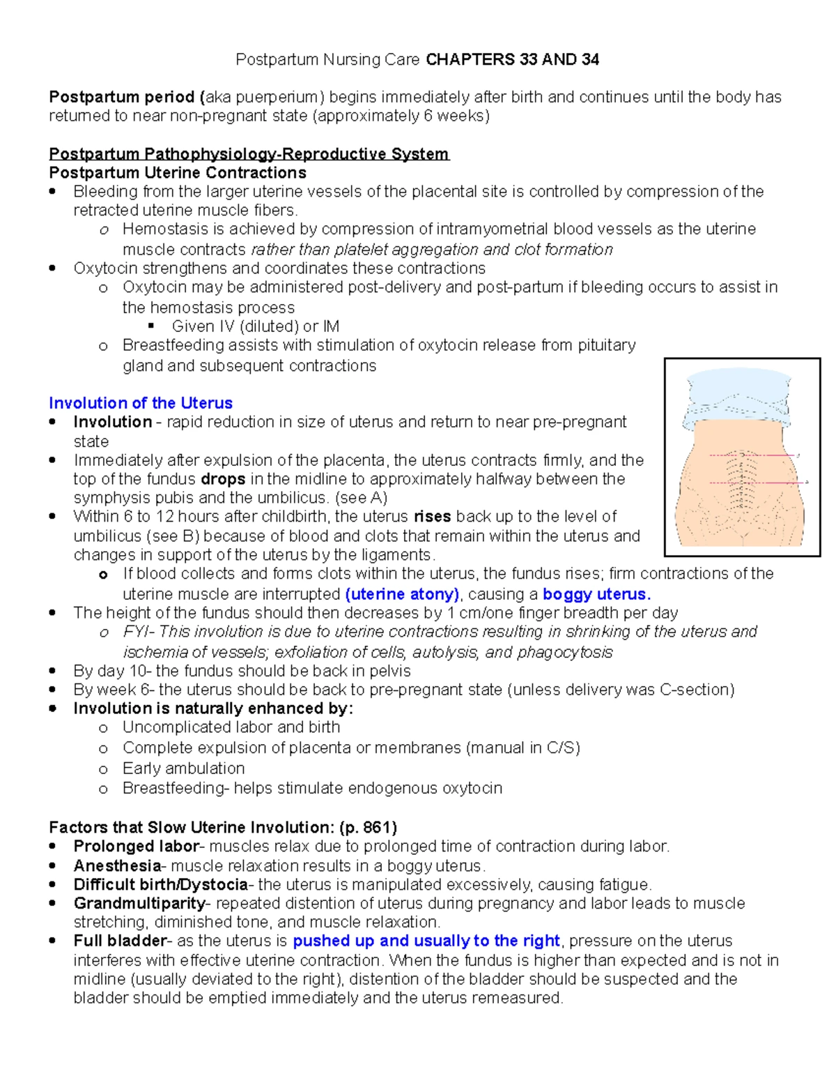 CH 12 Antepartum Nursing Notes - Antepartum Nursing (CH12) Pregnancy ...