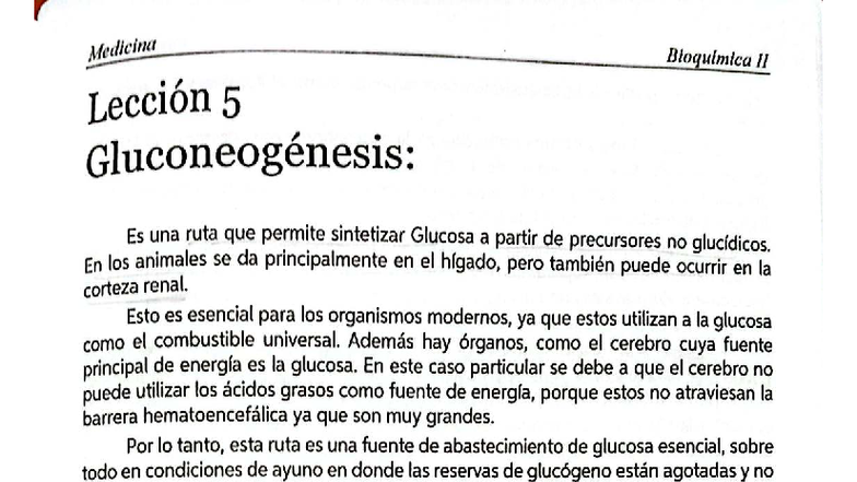 Medicina Bioquímica II: Lección 5 - Gluconeogénesis y su Importancia ...