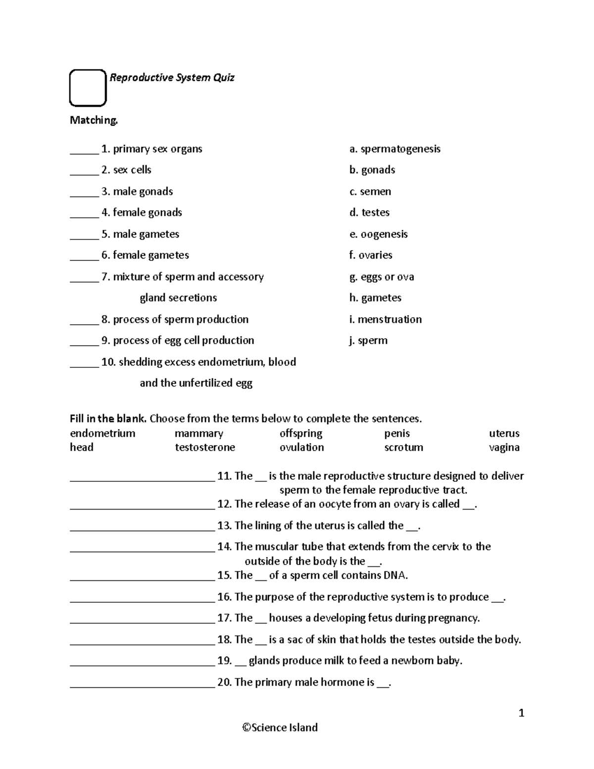 Reproductive System Quiz (BIO101): Matching & Fill-in-the-Blank - Studocu
