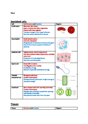 PAG2.2 Student Stem dissection v1 - Practical Endorsement GCE Biology ...