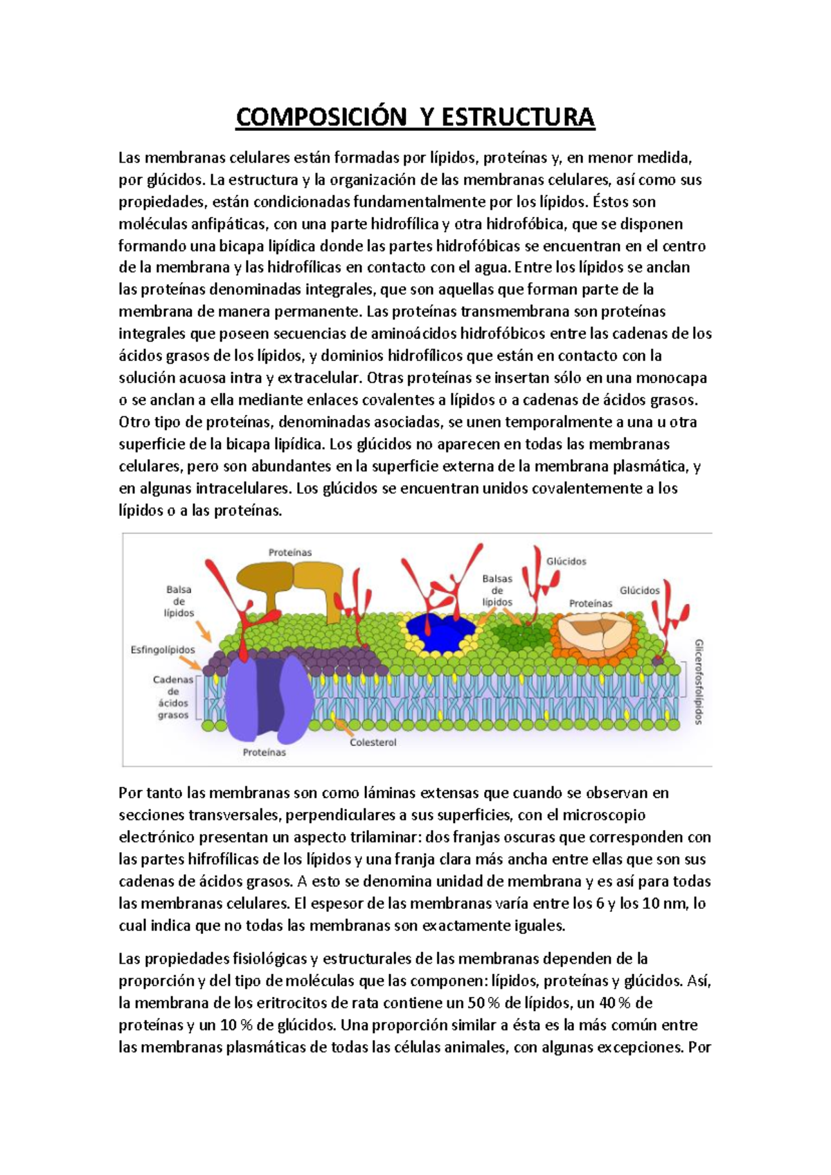 TEMA 2: Composición y Estructura de la Membrana Celular - Studocu