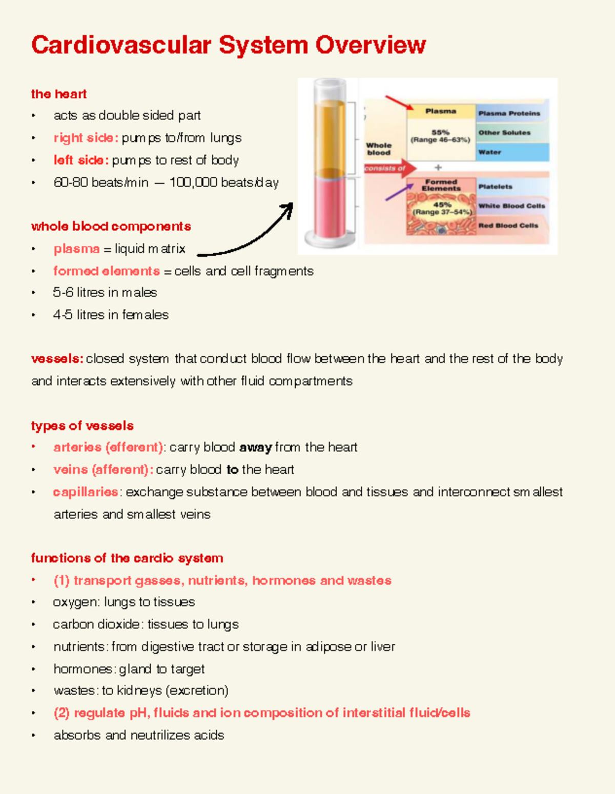 Cardio Study Guide: Overview of the Cardiovascular System - Studocu