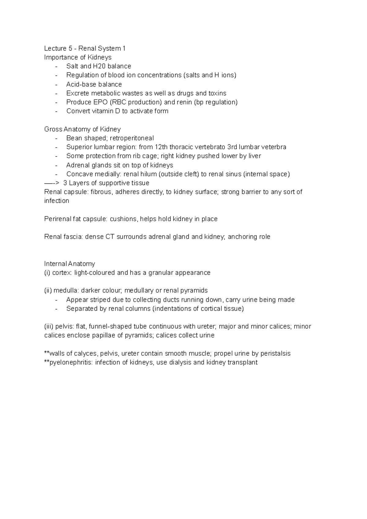 ANP1107 - Renal System 1 - Lecture 5 - Renal System 1 Importance of ...