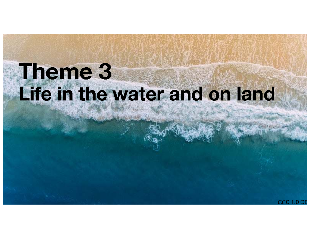 2025 BIOL 371 Theme 3: Life in Water and on Land Challenges - Studocu