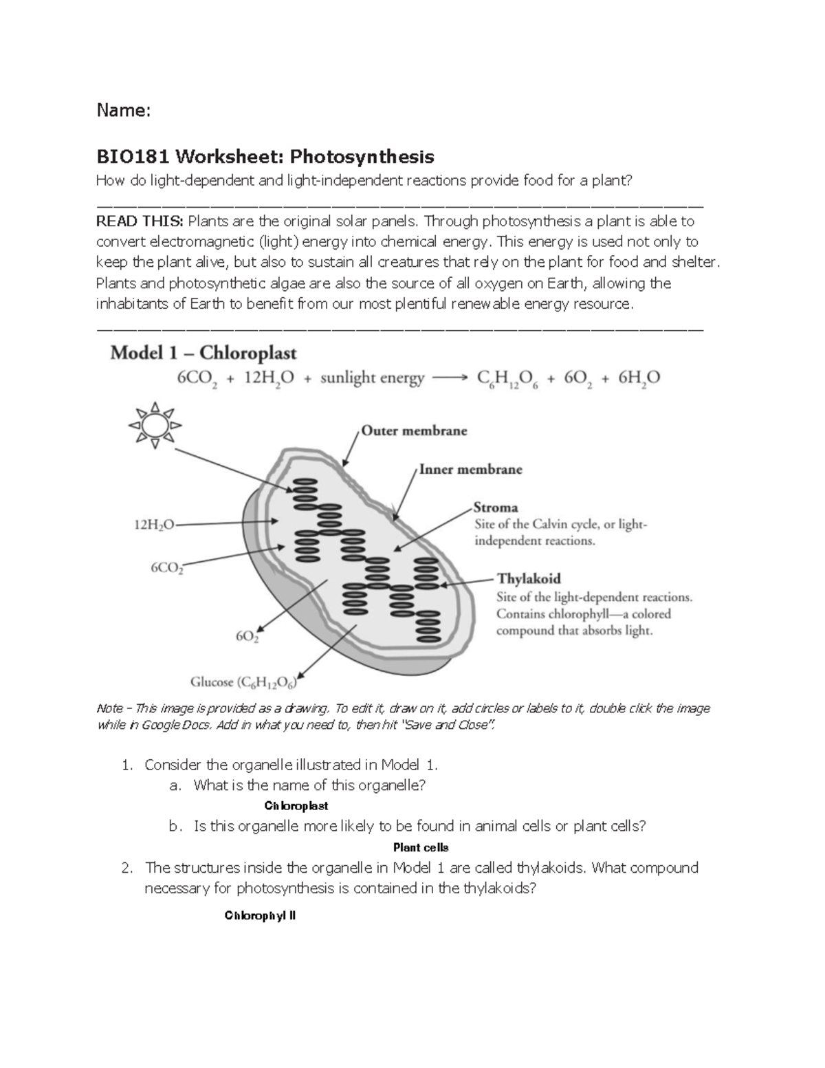BIO181 Final Exam Worksheet: Fundamentals of Photosynthesis - Studocu