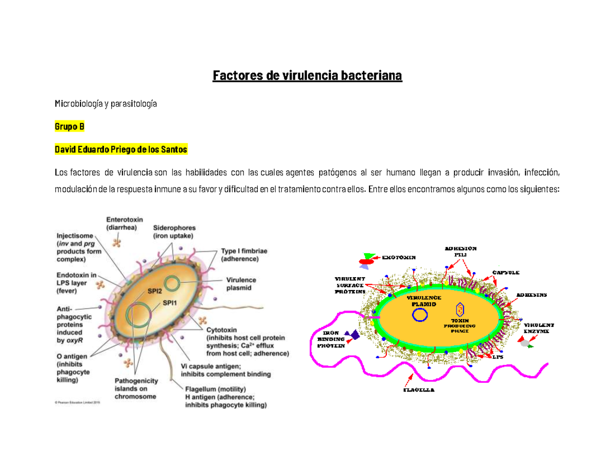 Factores de Patogenicidad y Virulencia Bacteriana - Microbiología 101 ...